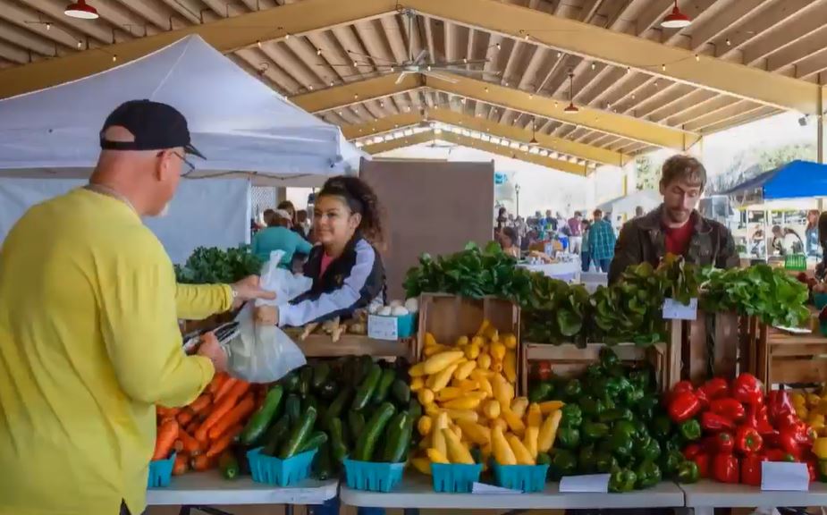 Downtown Ocala Farmer’s Market – Ocala Main Street | Downtown Ocala